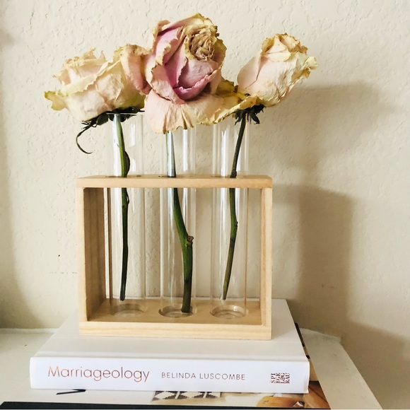 N/A | Accents | 3 Vial Glass Wood Plant Propagation Stand | Poshmark